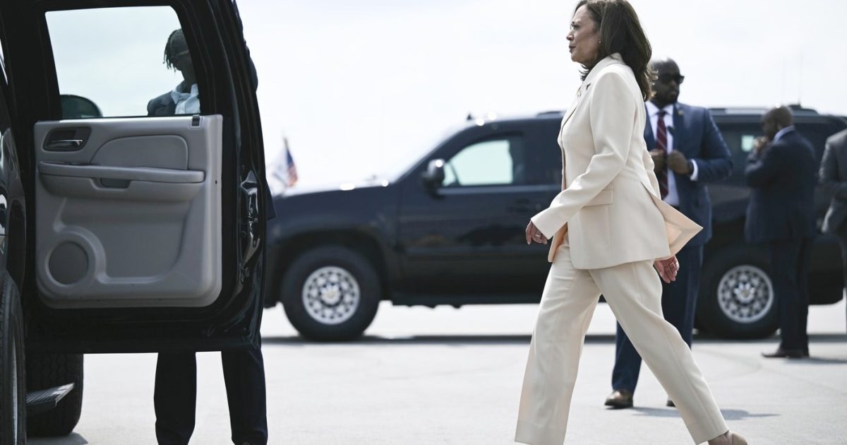 National Newswatch | The fight to define Harris is on. And for now,…