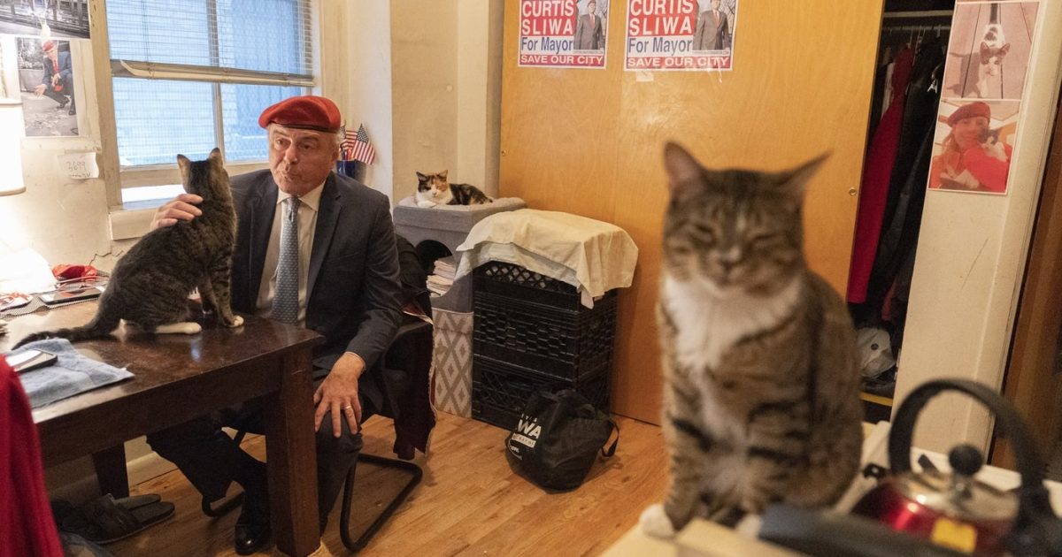 National Newswatch | Trump dismisses cat-loving NYC Republican…