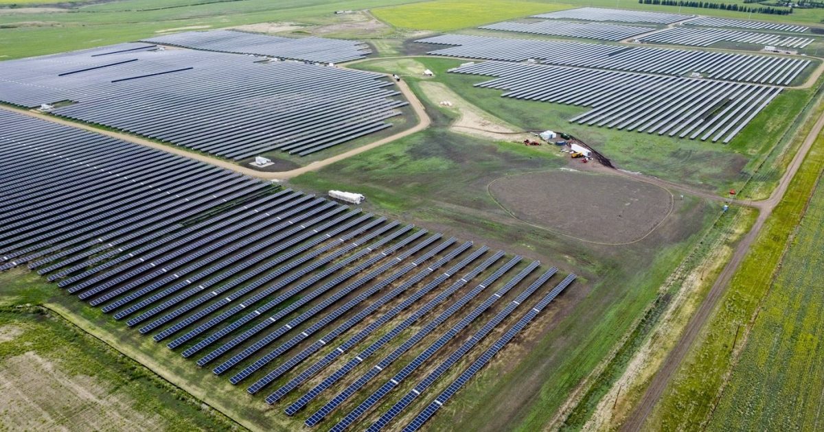 National Newswatch | Alberta releases new rules and no-go zones on…